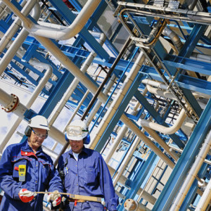 SAFE-RING® | flange guard